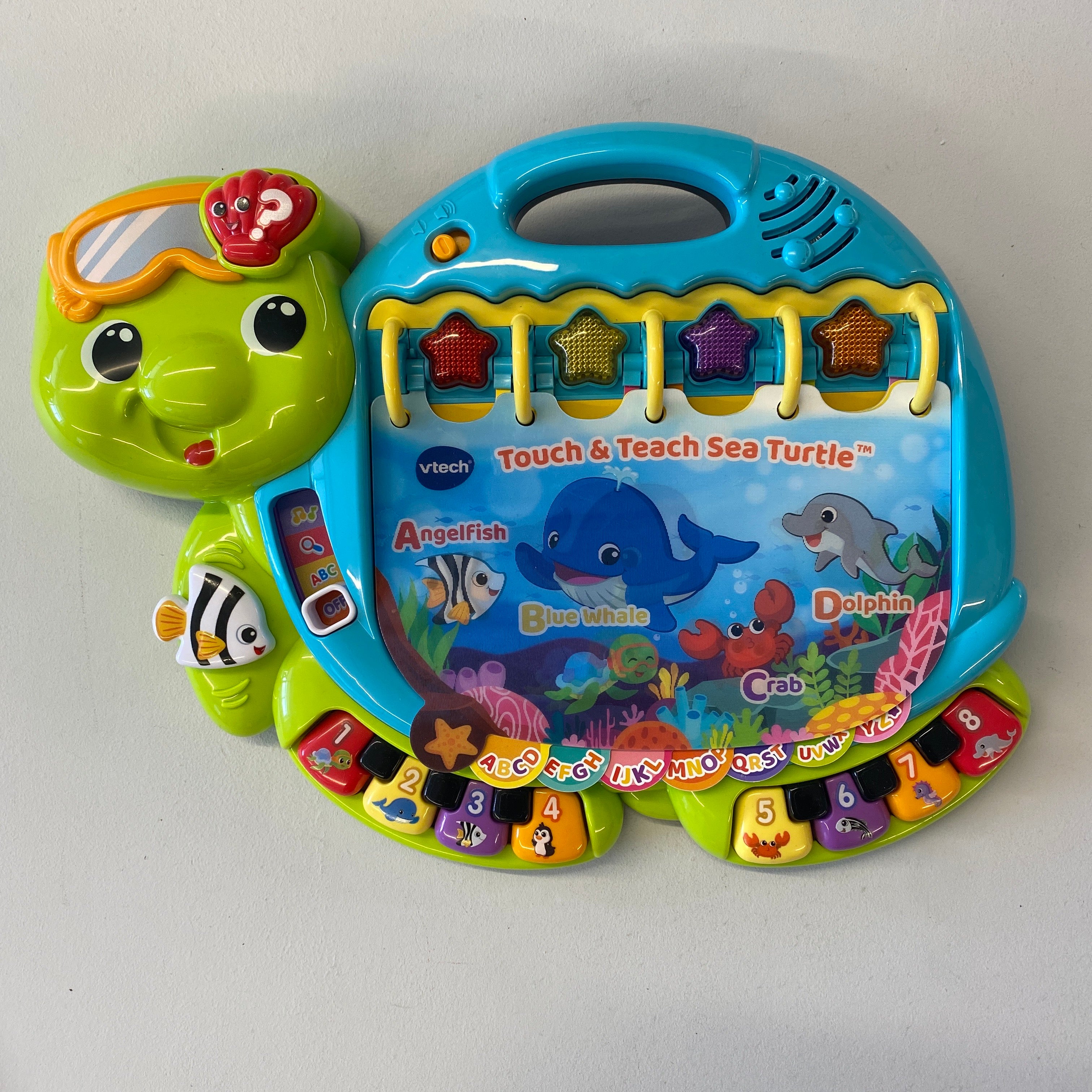 Touch & Teach Sea Turtle – Curated Cubs